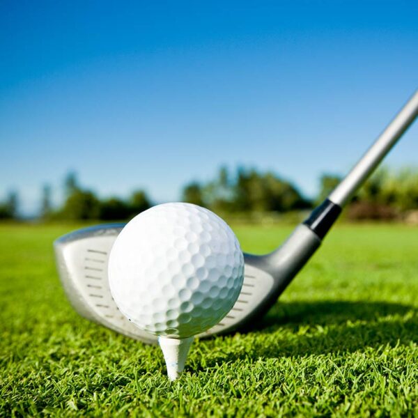 Business - Waypoint Insurance