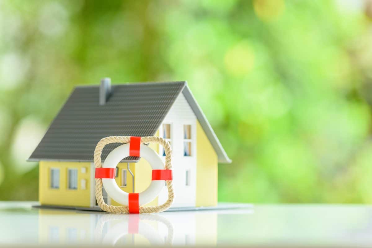 A Quick Guide to Safeguarding Your Property from Critters - Waypoint ...